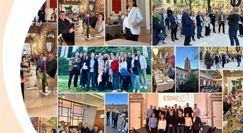 Esmint Seminar Esmint