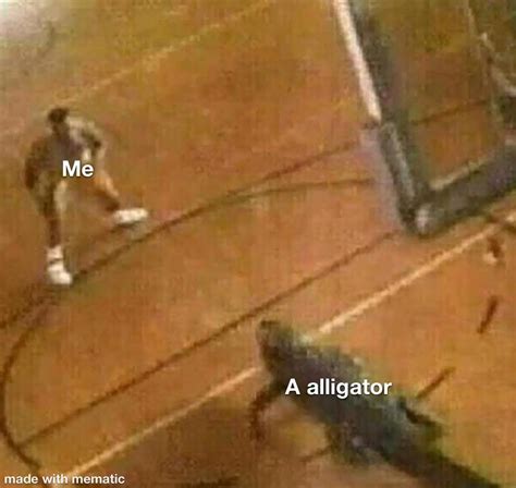 A Simple Meme For A Simple Picture Scrolller