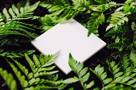 Premium Photo Blank Card On Green Grass Background Branding