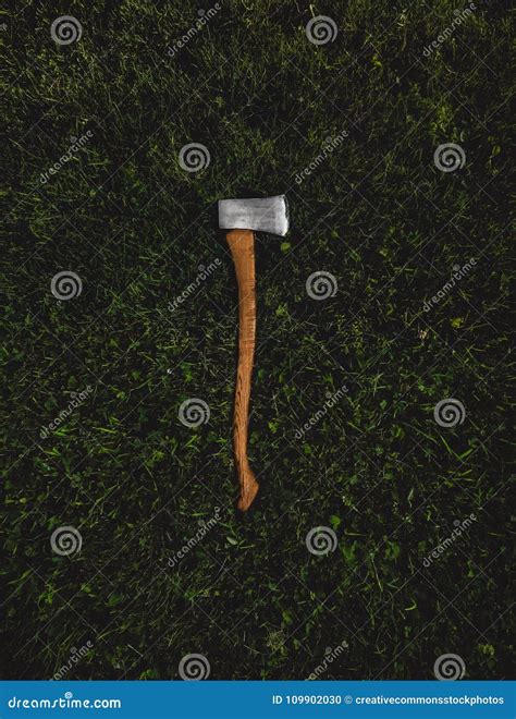 Axe Dangerous Grass Picture Image 109902030