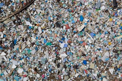 Free Picture Water Pollution Habitat Polution