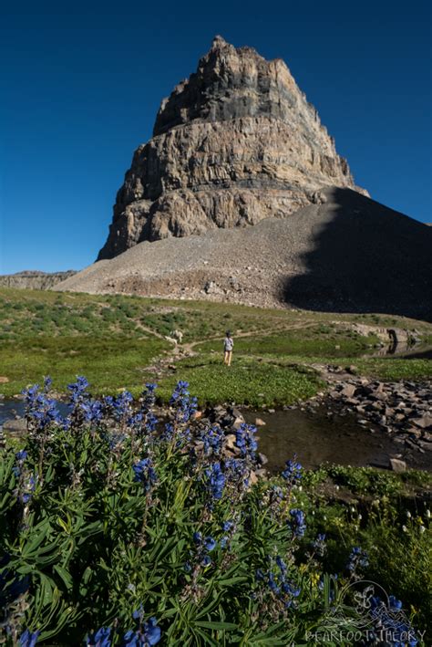 Hiking Mount Timpanogos A Timpooneke Trail Guide Artofit