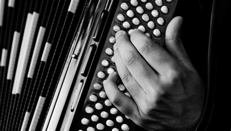 Curs De Acordeon Scoala De Muzica Armonia