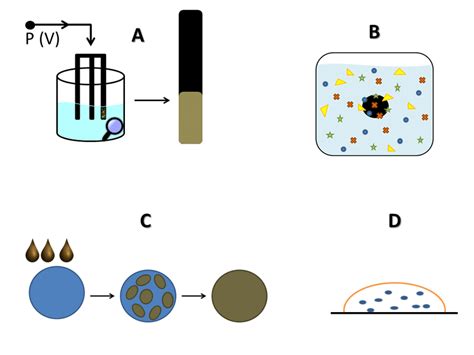 Chosen Types Of Physical Immobilization A Electropolymerization