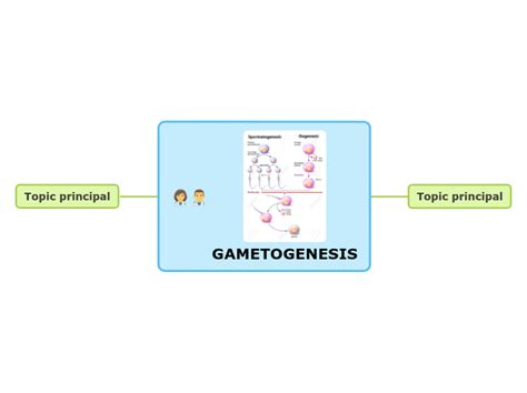 Gametogenesis Mind Map