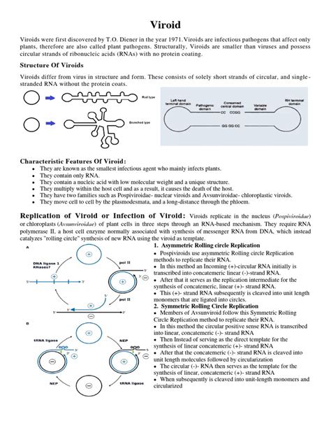 Basic Microbiology Part 2 Pdf Archaea Rna