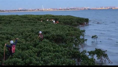 8人被困厦门浪漫海岸线红树林淤泥，潮水还在上涨！当地紧急救援全部脱困