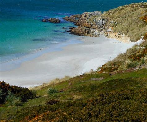 The 15 Best Things To Do In Falkland Islands 2026