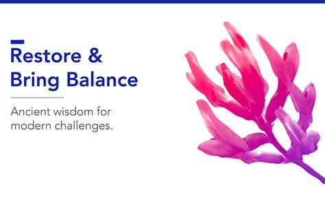 Bio Botanical Research Biotonic Adaptogenic Tonic Liquid