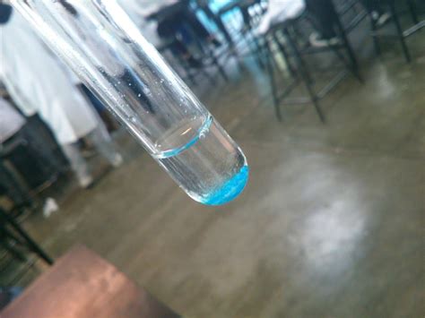 Química 1 Práctica De Laboratorio Capacidad De Disolución Del Agua Y