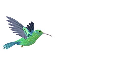 2d Bird Flying Animation 4k Video Footage And Background 27117110 Stock Video At Vecteezy