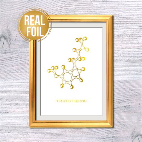 Testosterone Molecule Sex Hormone Real Foil Art Testosterone Etsy