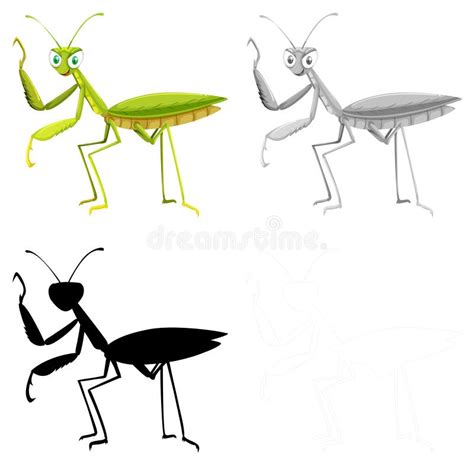 Grasshopper With Different Facial Expressions Stock Vector