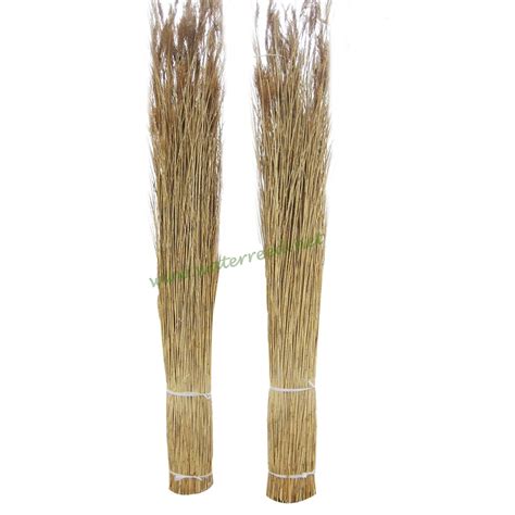 Reed Natural Bundles For Thatching Durable And Stylish