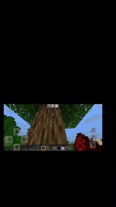 Exploding Tree Trap Shorts Traps Youtube