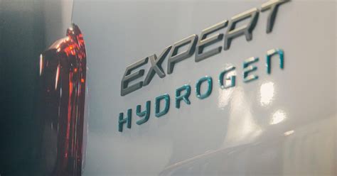 Stellantis Doing Well With Bev In Europe Dealerfloor