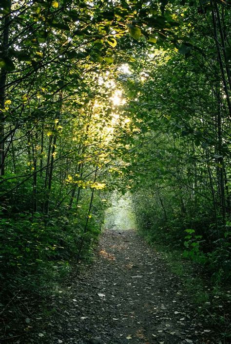 Adopt A Trail Chilliwack Park Society