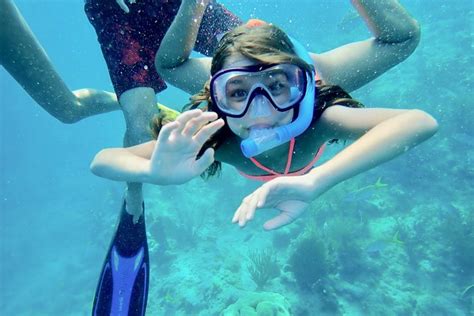 Best Snorkeling At Looe Key List Of Best Trips