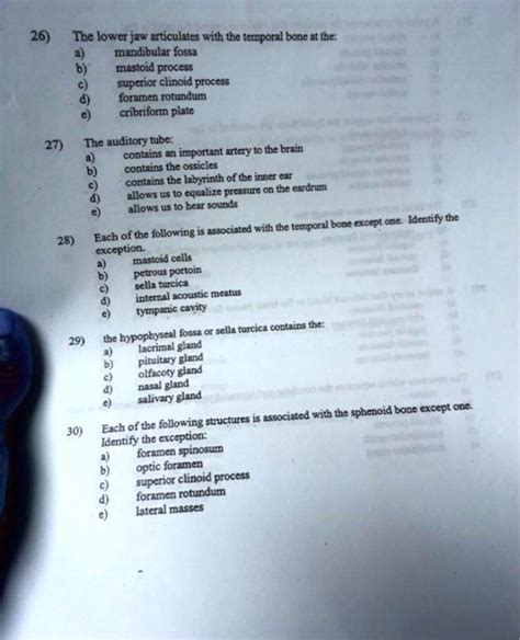 26 Tne Lower Jaw Articulates Th Temporal Bone At The Mandibular Fossa Mastoid Process Superior