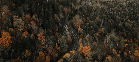 Strona Bierna W Języku Angielskim Passive Voice Talkback