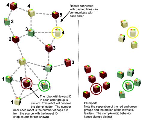The Divide And Clump Algorithm Generates A Spatial Division Of Labor