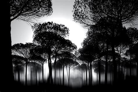Creative And Inspiring Fineart Photography By Chris Friel