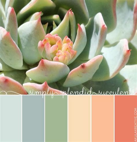 Summer Succulent Color Palette Pastels Color Schemes Colour