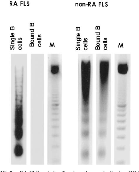 Figure 5 From Fibroblast Like Synoviocytes From Rheumatoid Arthritis