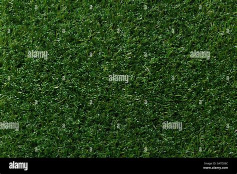 Artificial Turf Plastic Grass Surface And Background Green Colored