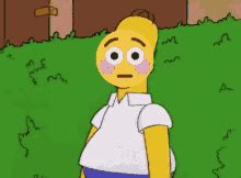Homer Simpson Bush S Tenor