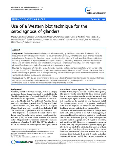 Pdf Use Of A Western Blot Technique For The Serodiagnosis Of Glanders