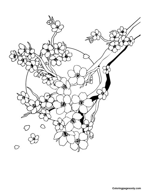 26 Cherry Blossom Coloring Pages 26 Cherry Blossom Coloring Pages