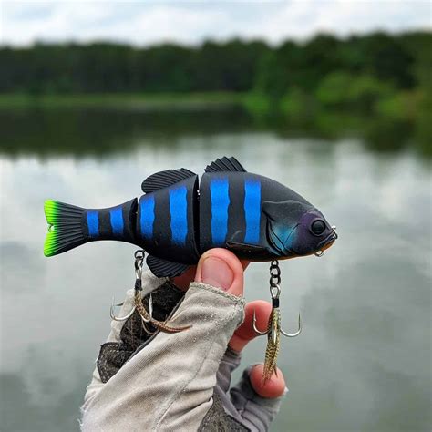 Swimbait Nation At Leah Crisp Blog