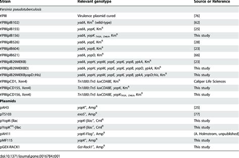 Y Pseudotuberculosis Strains And Plasmids Used In This Study