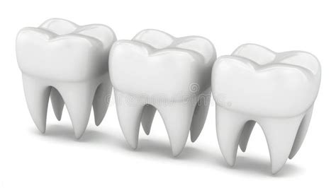 The Image Depicts A Close Up Of Three White Molars That Appear Healthy