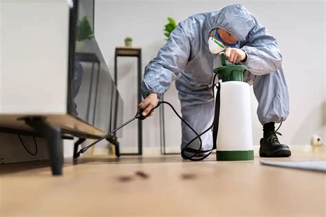 Errores Comunes En El Control De Plagas Y Cómo Evitarlos
