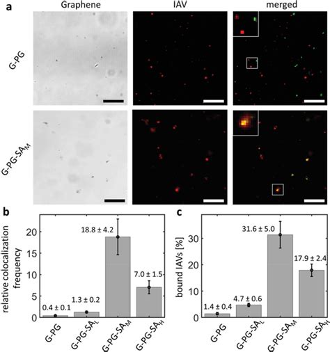 Confocal Laser Scanning Fluorescence Microscopy Clsm ‐based Download Scientific Diagram