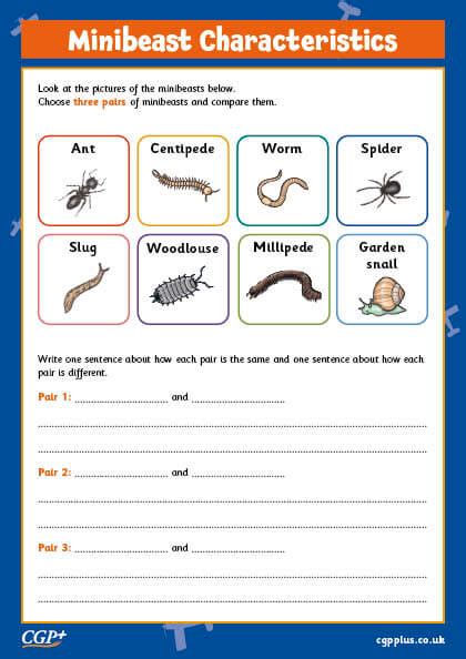Classification Expedition — Lesson Plan Year 4 Cgp Plus