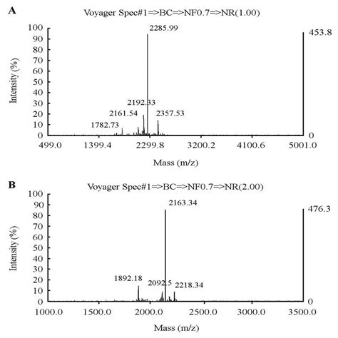 Intercellular Imaging By A Polyarginine Derived Cell Penetra