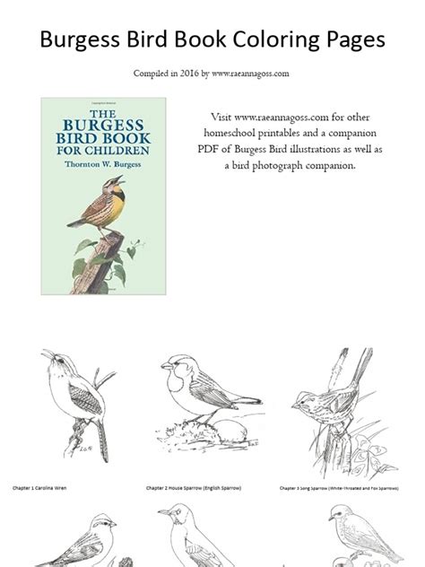 Burgess Bird Book Coloring Pages Pdf