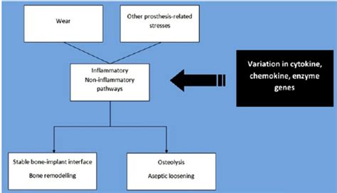 Functional Variation In Genes For Cytokines Other Molecules Could
