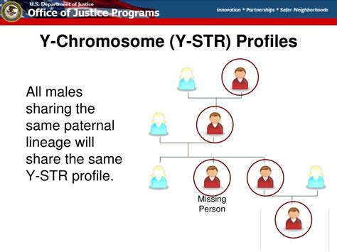 Ppt Overview Of Namus The Databases Personnel And Forensic