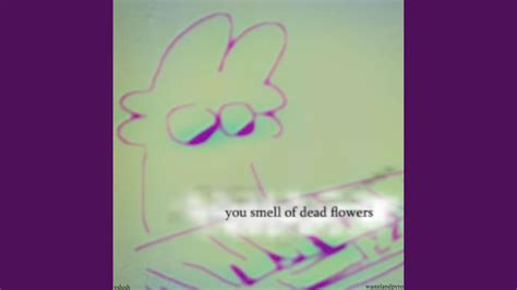 You Smell Of Dead Flowers Youtube Music