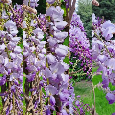 Anemon Anemon Added A New Photo