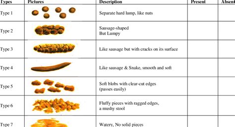 Bristol Stool Scale 14 Starting Three Type Of Stools Are Considered As