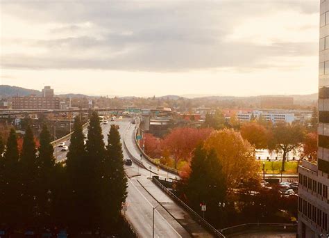 Brian Patrick Conry P C Portland Or