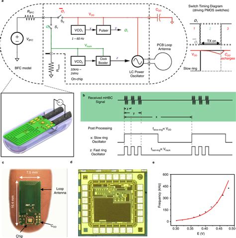 Electrical Characterization Of The Custom Integrated Circuit A