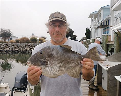 Maryland Triggerfish Record Falls Coastal Angler And The Angler Magazine