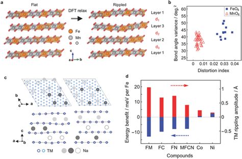 Dft Calculation Of Spontaneous Rippling In Fe Containing Tm Oxides A