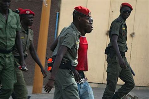 Meurtre Dal Hassan Diallo à Guinaw Rail Le Présumé Auteur Présenté